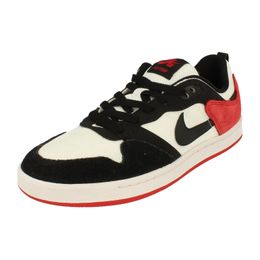 Nike Sb Alleyoop M&auml;nner Wei&szlig; Turnschuhe