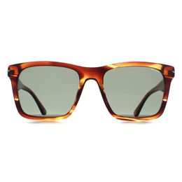Police SPLN35 Champ 9 09N3 gl&auml;nzend gestreift braun gr&uuml;n Sonnenbrille