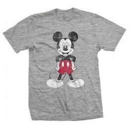 Disney - T-Shirt f&uuml;r Herren/Damen Unisex (Grau)
