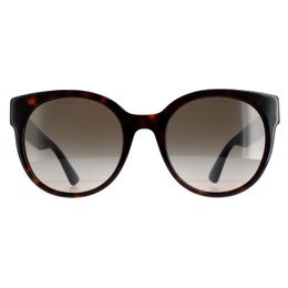 Gucci Cat Eye Womens Havana avec des lunettes de soleil GG0035SN