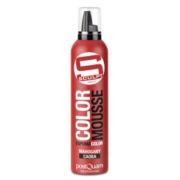 FARB-SCHAUMFESTIGER MAHAGONI 300 ML.