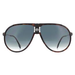 Carrera Aviator Mens Havana Green Gradient Lunettes de soleil