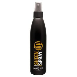 GLANZSPRAY 250 ML.