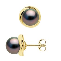Ohrringe &ndash; Gelbgold &ndash; echte Tahiti-Zuchtperlen rund 7&ndash;8 mm