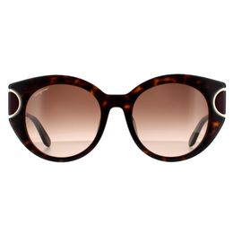 Salvatore Ferragamo Cat Eye Womens Schildpatt Braun Gradient Sonnenbrillen