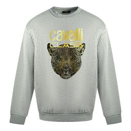 Roberto Cavalli Cavalli Class Leopardenprint-Logo Grauer Pullover