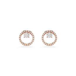 Swarovski 'Dextera' Damen Vergoldete Metall Ohrringe - Rose 5692263