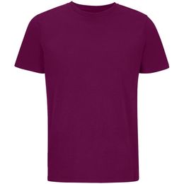 SOLS - "Legend" T-Shirt f&uuml;r Herren/Damen Unisex (Stern Violett)