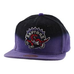 Mitchell & Ness Mitchell & Ness Toronto Raptors Mens Cap