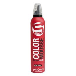 FARB-SCHAUMFESTIGER EXTRA GRAU 300 ML.