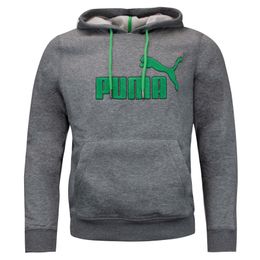Puma Herren SP Hoodie Fleece Graphic Logo Sweatshirt Grey 827876 03
