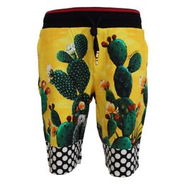 Dolce & Gabbana Dolce & Gabbana Mehrfarbige Kaktusdruck Baumwolle Sweat Herren Shorts