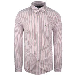 Lacoste regul&auml;re Fit Herren Rot/wei&szlig;es Hemd