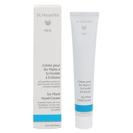 Dr. Hauschka Med Ice Plant Hand Cream.