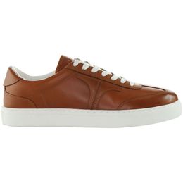 Ted Baker Robert Mens Brown Trainer