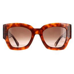 Tommy Hilfiger Square Womens Havanna Honey Brown Gradient TH 1862/S