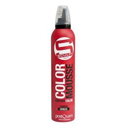 FARB-SCHAUMFESTIGER ASCHE 300 ML.