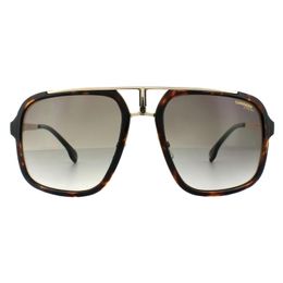 Carrera Square Unisex Havanna Gold Braun Gradient Sonnenbrille
