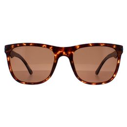Police Rectangle Mens Matte Dark Havana Brown SPL357 Blackbird Light 2
