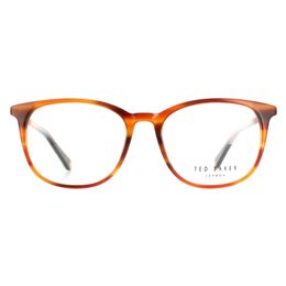 Ted Baker Runde Mens Cognac Horn TB8219 Archer Brillenfassungen