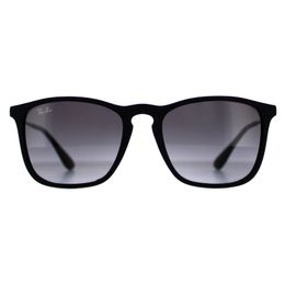 Ray-Ban Rayban Sonnenbrille Erika 4171 Gummiert Havanna Braun Verlauf 865/13