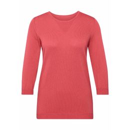 3/4 Arm-Pullover GOLDNER "Kurzgr&ouml;&szlig;e Strickpullover mit Ajourmuster", Damen, Gr. 23, rot (koralle), Obermaterial: 50% Baumwolle CO. 50% Polyacryl PAN., normal, Rundhals, Sonstiges, Pullover, Ohne