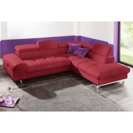 Ecksofa COTTA "Chef L-Form", rot, B:257cm H:72cm T:206cm, Luxus-Microfaser (100% Polyester);Kunstleder Softlux;Leder Advantage (abgedecktes Spalt-Rindsleder), R&uuml;ckseite mit schwarzem Spannstoff bezogen;NaturLEDER (echtes Rindsleder), R&uuml;ckseite mit schwarzem Spannstoff bezogen, Sofas, Ecksofa, mit Kopfteilverstellung, edle Metallkufen, wahlweise mit Bettfunktion