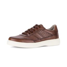 Sneaker Gabor "Sneaker low", Herren, Gr. 39, braun, Schuhe Sneaker