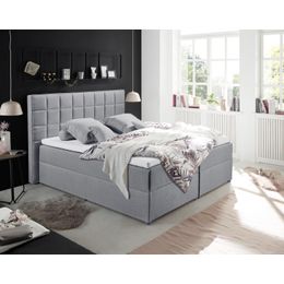 Boxbett ALASKA 6