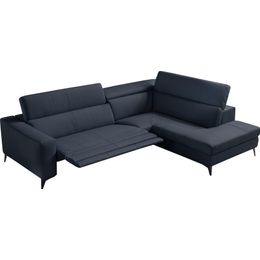 Ecksofa Egoitaliano "Edith, Designsofa mit hohem Sitzkomfort, Breite 269cm, L-Form", grau (smoke), B:269cm H:96cm T:203cm, Leder &raquo;BULL&laquo; (echtes Rindsleder). Geschliffenes, pigmentiertes und behandeltes Rindsleder mit einer Dicke von 1, 3-1, 5 mm. Dieses Leder zeigt eine ziemlich weiche Hand mit einem halb undurchsichtigen Aussehen. Es handelt sich um ein gesch&uuml;tztes Leder. Eine leichte Deckschicht