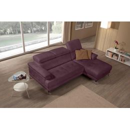 Ecksofa Egoitaliano "Soul, Design und Sitzkomfort auf hohem Niveau, tolle Details, L-Form", lila (plum), B:250cm H:99cm T:166cm, Sofas, Ecksofa, mit Recamiere, inkl. Kopfteilverstellung