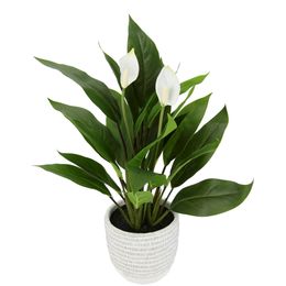 Kunstpflanze I.GE.A. "Spathiphyllum", gr&uuml;n (gr&uuml;n,wei&szlig;), B:30cm H:48cm L:28cm, Kunstpflanzen, Kunstpflanze, im Topf Anthurie Calla Flamingoblume exotische Pflanze wei&szlig;e Bl&uuml;ten