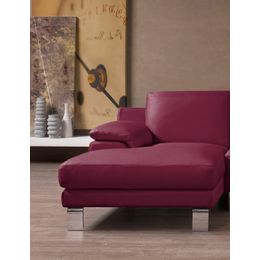 Ecksofa Egoitaliano "Shakira, Design & Sitzkomfort auf hohem Niveau, Breite 236cm, L-Form", lila (violett), B:236cm H:84cm T:152cm, Leder NUVOLE (Echtes Rindsleder). Halbnat&uuml;rliches, halbnarbiges Rindsleder mit einer nat&uuml;rlichen K&ouml;rnung von 1, 2 bis 1, 4 mm. Dieses Leder hat eine weiche, wachsartige Haptik mit mattem Aussehen und einem Wolkeneffekt. Es handelt sich um ein Naturleder, das die urspr