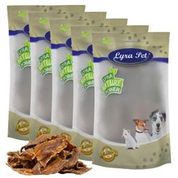 LYRA PET D&ouml;rrfleisch Chips 4 - 10 cm 5 kg