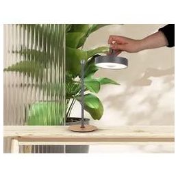 OTTO HOME LED Tischleuchte "Ellvra mit Holzfu&szlig;, abnehmbares Kopfteil als H&auml;ngeleuchte verwendbar", grau, 1, &Oslash; 12,5cm H: 35cm, 1 Stk., Leuchten, aufladbar, inkl Akku + USB Kabel, Kopfteil magnetisch, abnehmbar, Holz, LED Tischleuchte