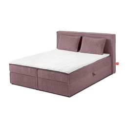 KONSIMO Boxbett lila/violett Ma&szlig;e (cm): B: 145 H: 95 Sofas > Sofas nach Art > Schlafsofas &raquo; Sofa DE