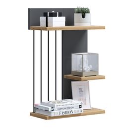 Vcm Modernes H&auml;ngeregal aus Holz &ndash; platzsparendes Wandregal Dolira M, 60 x 40 x 19 cm, elegantes Aufbewahrungs- und B&uuml;cherregal f&uuml;r Wohnzimmer, B&uuml;ro & Flur