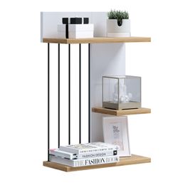 Vcm Modernes H&auml;ngeregal aus Holz &ndash; platzsparendes Wandregal Dolira M, 60 x 40 x 19 cm, elegantes Aufbewahrungs- und B&uuml;cherregal f&uuml;r Wohnzimmer, B&uuml;ro & Flur