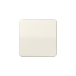 Jung Steuertaste Standard CD 1700 (CD1700)