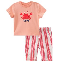 Topomini Newborn Set aus T-Shirt und Musselin-Hose