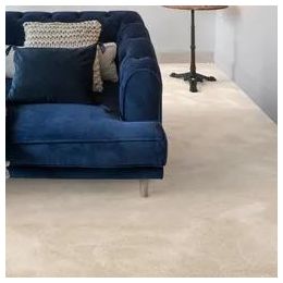 Teppichboden ANDIAMO "Levin, Velours, Gesamth&ouml;he 10 mm, Luxusklasse LC2", beige (hellbeige), B:400cm L:300cm, Kunstfaser, Teppiche, Uni Farben, Breite 400 cm oder 500 cm, weiche Qualit&auml;t