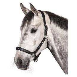 Cheval de Luxe Lederhalfter Adelaide schwarz Pony