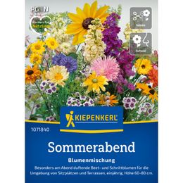 Kiepenkerl Sommerabend Mischung Lieferform: Portionssaatgut