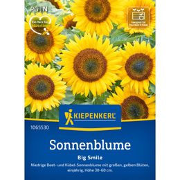 Kiepenkerl Zwerg-Sonnenblume 'Big Smile' Lieferform: Portionssaatgut