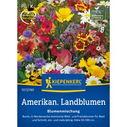 Kiepenkerl Amerikanische Landblumenmischung Lieferform: Portionssaatgut