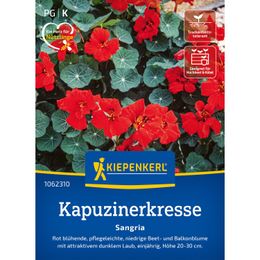 Kiepenkerl Kapuzinerkresse 'Sangria' Lieferform: Portionssaatgut