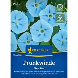 Kiepenkerl Winde (Prunkwinde) 'Blue Star' Lieferform: Portionssaatgut