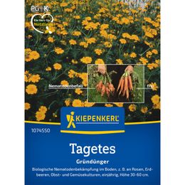 Kiepenkerl Nematoden-Killer - Tagetes 'Single Gold' Lieferform: Portionssaatgut