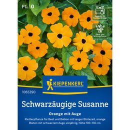 Kiepenkerl Schwarz&auml;ugige Susanne Orange mit Auge Lieferform: Portionssaatgut