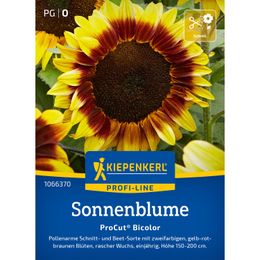 Kiepenkerl Sonnenblume 'Pro Cut Bicolor' Lieferform: Portionssaatgut